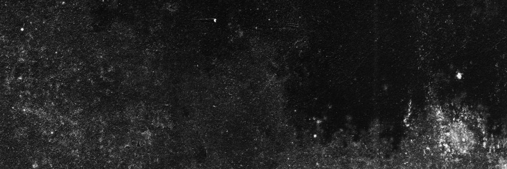 Spring IPPT Charts | IDC Spring